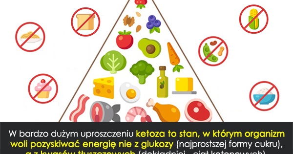 Co to jest ketoza i na czym polega dieta ketogeniczna? – FitWiedza.pl